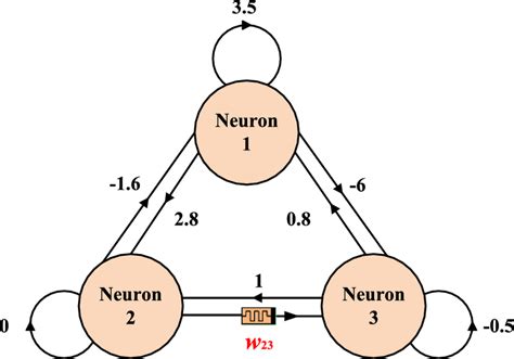 The Connection Topology Of The Simple Memristive Hnn Download