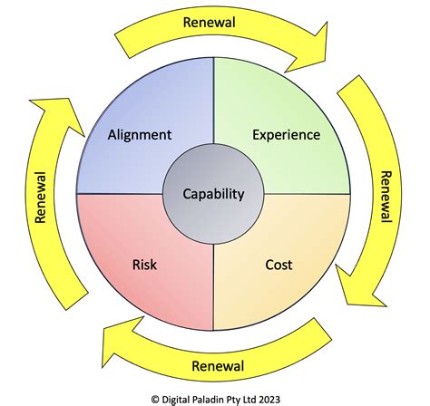 Digital Maturity Framework Risk Digital Paladin