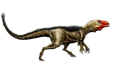 Dryptosaurus Ground Dwelling Carnivore Of The Late Cretaceous