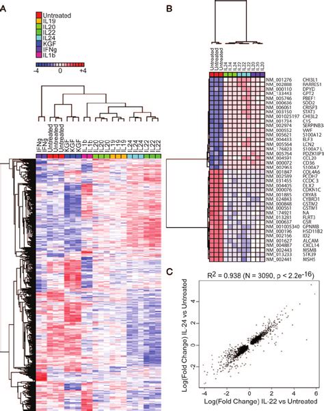 Microarray Gene Expression Analysis Of 4 Day Cultured Rhe Treated With