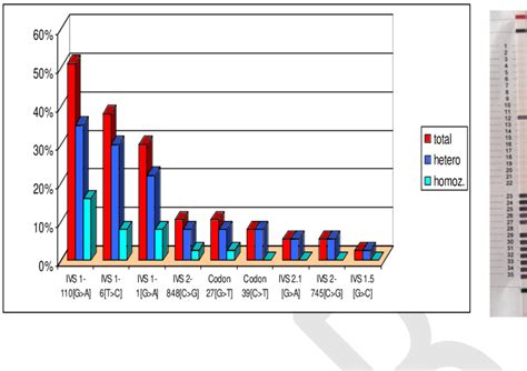 β Globin Gene Mutations A Diagram Describes The Distribution And Download Scientific Diagram