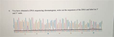 Solved You Have Obtained A Dna Sequencing Chromatogram