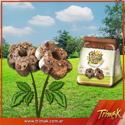 Las Galletitas Más Sanas Y Naturales De Productos Trimak