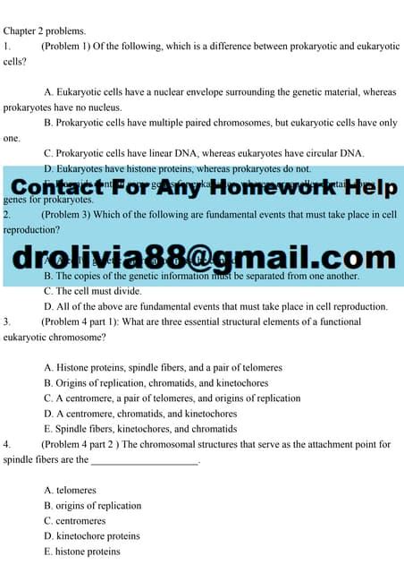 Instructionsthe First Programming Project Involves Writing A Progrpdf