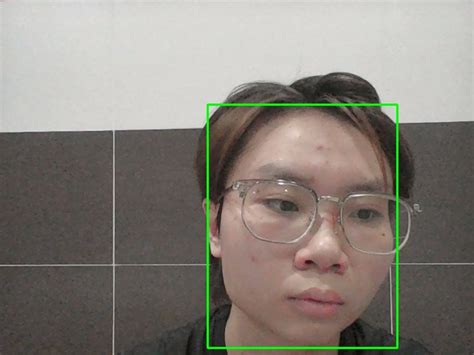 Facial Reconigition Classification Dataset V1 2024 04 25 9 11am By Nhu Le