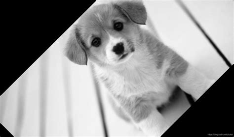 Sift特征检测算子和sift Cv2xfeatures2dsiftcreate出错的解决办法刘凯数据分析的博客 Csdn博客