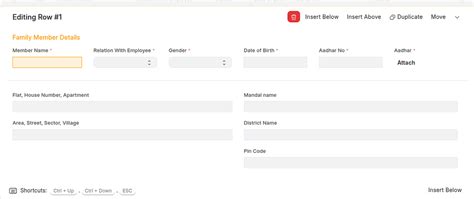 Issue With Web Form Displaying Incomplete Fields From Custom Doctype