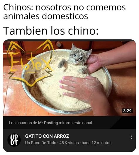 Memes Arroz Chino Os Melhores Memes Vou Querer A Salada Do Chefe
