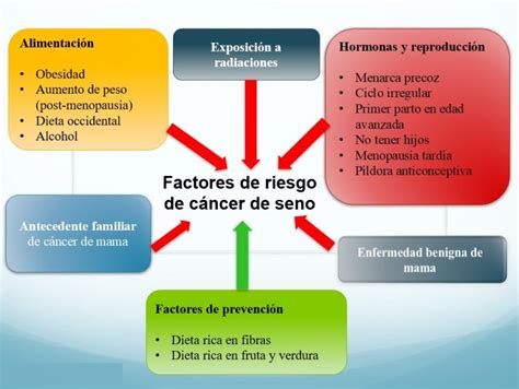Cáncer De Mama Femenino Y Masculino Clasificación Causas Y Síntomas