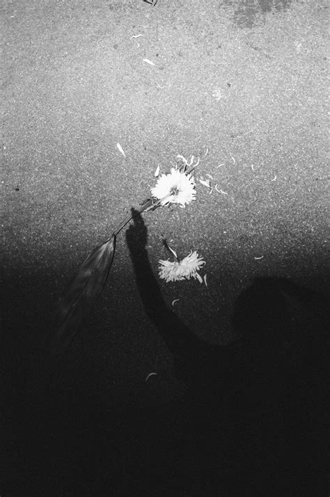 Vortex Productions Tonight The World Premiere Of The End Of Sex At Tiff