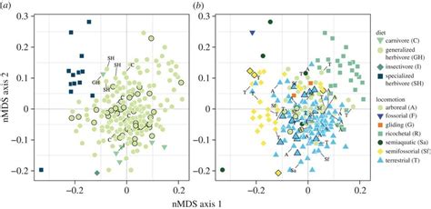 Morphospace Plot Of Nmds Ordination Sammons Nonlinear Mapping Of