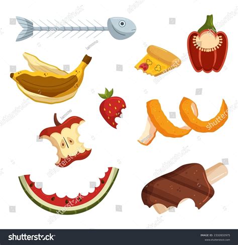 Materia Orgánica Más De 49616 Ilustraciones Y Dibujos De Stock Con