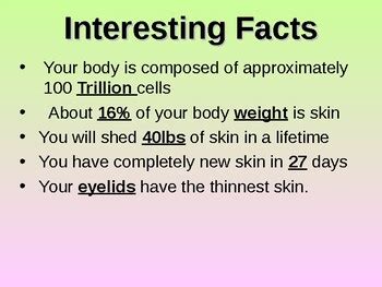 Integumentary System Teacher Notes By Fun And Differentiated Science