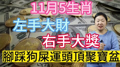 橫財旺到爆！這5個生肖！11月轉大運！鴻運當頭！左手大財！右手大獎！腳踩狗屎運！頭頂聚寶盆！財運是一等一的好！令人羨慕！ Youtube