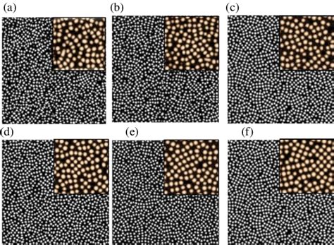 The Simulated Atomic Configurations For The Binary Alloy Using