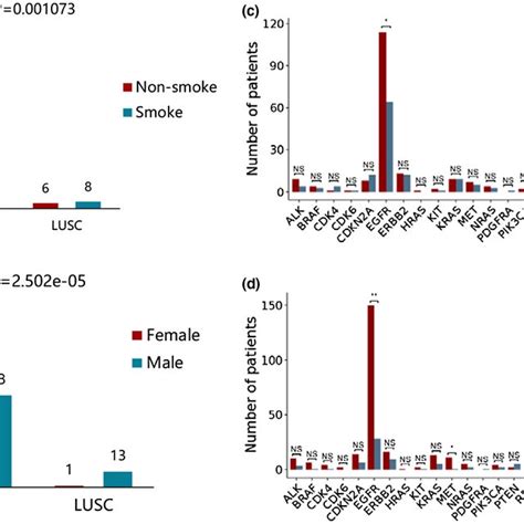 Comparison Of Variant Allele Frequencies In Tumor Type And Tumor Stage Download Scientific