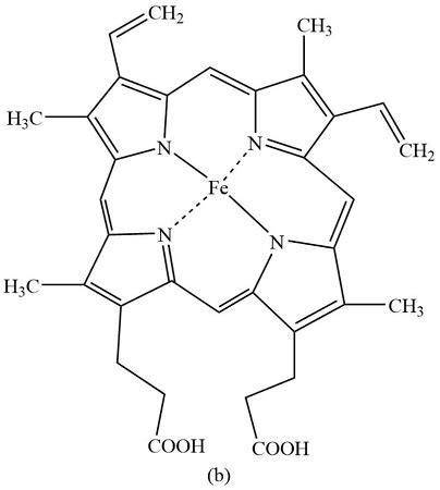 Fe Molecule