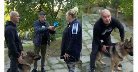 Драма за сексиграчки и куче в Съдебен спор