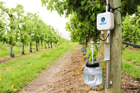 A Connected Frost Sensor To Protect Your Crops Weenat