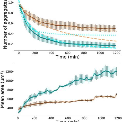 Aggregation Process Images At Different Times During The Process Of Download Scientific