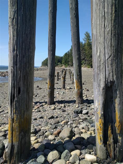 Nude Sunbathing On Tumblr