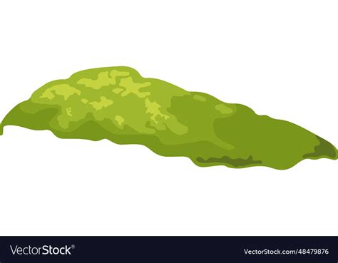 Grass Moss Royalty Free Vector Image Vectorstock