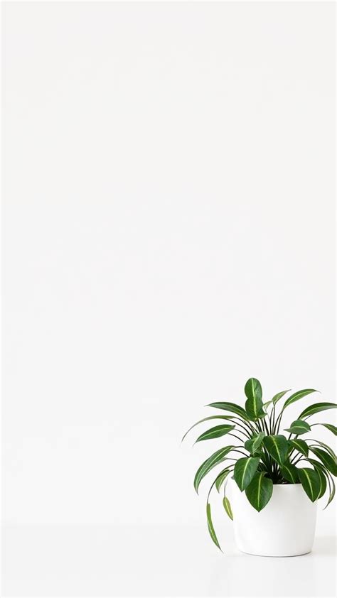 Эстетичный фон с растением в бежевых тонах · Обои на телефон по ссылке En 2025 Fondos De