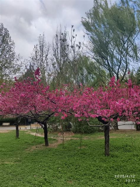 Mybatis Plus（六）：sql结果重复字段合并与一对多映射mybatisplus一对多 Csdn博客