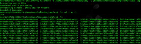 HolisticInfoSec Toolsmith Malware Analysis With REMnux Docker Containers