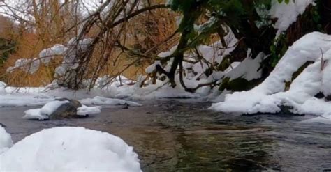 감기 강 겨울 겨울 강 겨울 시즌 겨울 야외 겨울 자연 겨울 풍경 겨울철의 경치 경치가 좋은 계절 고요한 고요함 꽁꽁 언 날씨 눈 눈 내리는