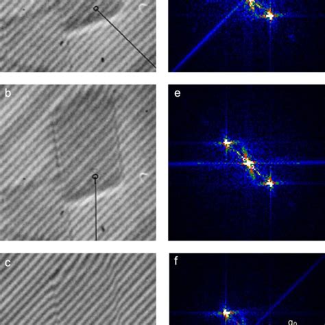 Basic Principle Of The Off Axis Electron Holography The Hologram In Download Scientific