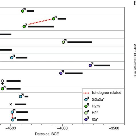A Genetic Sex Y Chromosome Colored Symbols And Mitochondrial Download Scientific Diagram