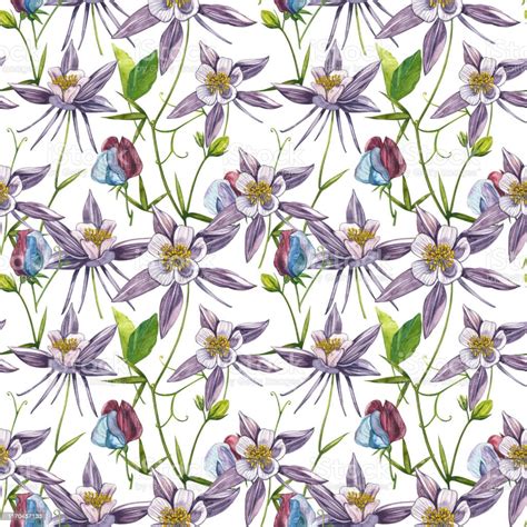 더블 컬럼바인 꽃 매끄러운 패턴 손으로 그린 꽃과 식물의 컬렉션입니다 꽃과 나뭇잎의 수채화 세트 흰색 배경에 고립 된 손으로 그린 꽃 그림 식물 예술 0명에 대한 스톡 사진