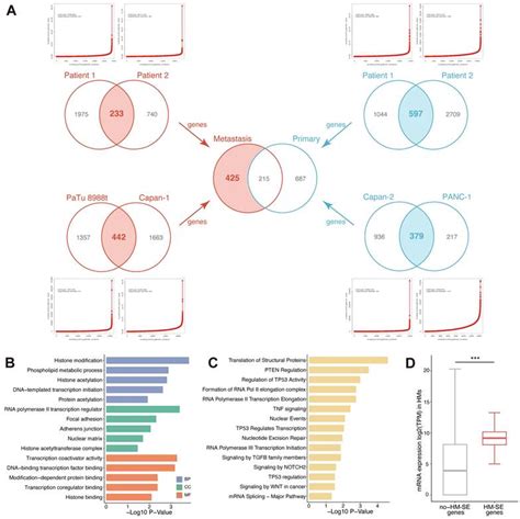 Comprehensive Machine Learning Generated Classifier Identifies Pro