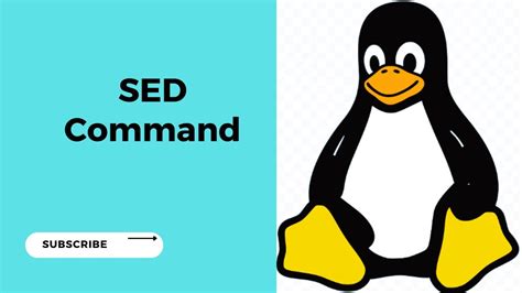 Sed Command Sed Command For Beginners Linux For Beginners Youtube