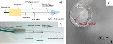 A Schematic Of The Mg 2 Ion Selective Microelectrode Isme