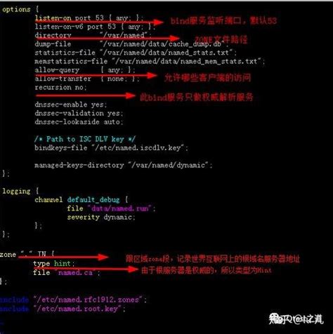 DNS和BIND总结 知乎