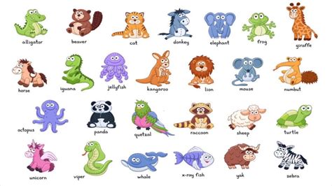 Từ vựng Animal tiếng Anh động vật Vocabulary hay