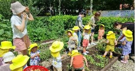 오세훈표 서울형 모아어린이집 부모·원장·교사 만족도 쑥