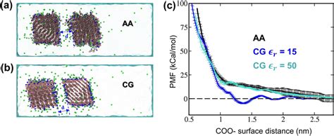 PMF Calculations Of The Two CNC Models With COO Surface Modifications Download Scientific