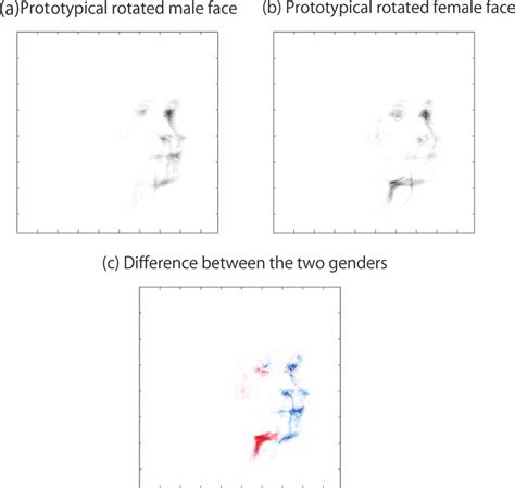 Analysis Of The Facial Features Represented By Input Gabor Filters That Download Scientific