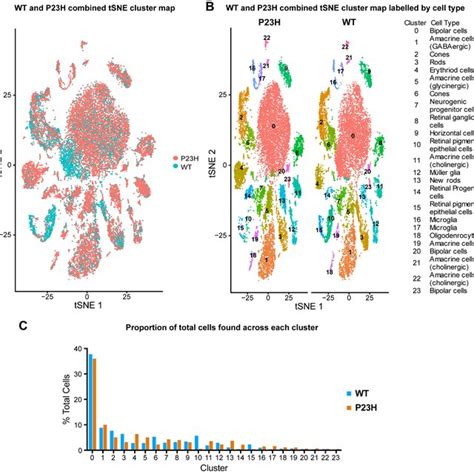 Single Cell Rnaseq Analysis On Wt P23h Integrated Zebrafish Retina