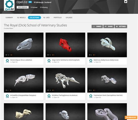 3d Skeletons And Skulls Rdsvs Opened