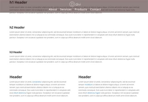 The Ultimate Guide To The Divi Theme Customizer