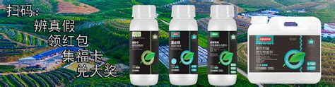 河南禾颖生物技术有限公司