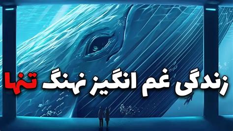 سرگذشت دردناک تنهاترین نهنگ دنیا به همراه صدای واقعی نماشا