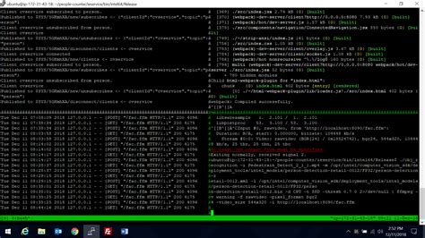 Not Able To See Any Video On The UI Interface Issue 4 Intel Iot