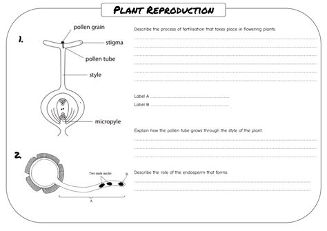Reproduction Worksheet