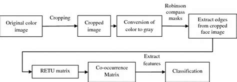 Block Diagram Of Retu Cm For Age Group Classification System Download Scientific Diagram
