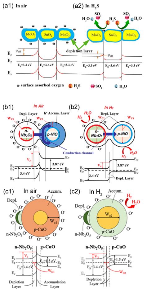 Metal Oxide Based Heterojunctions For Gas Sensors A Review Pmc